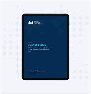 Dynamic Standards International (DSI)