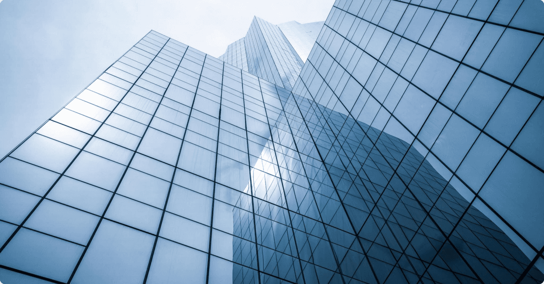 Dynamic Standards International (DSI)