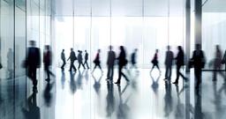 Dynamic Standards International (DSI)