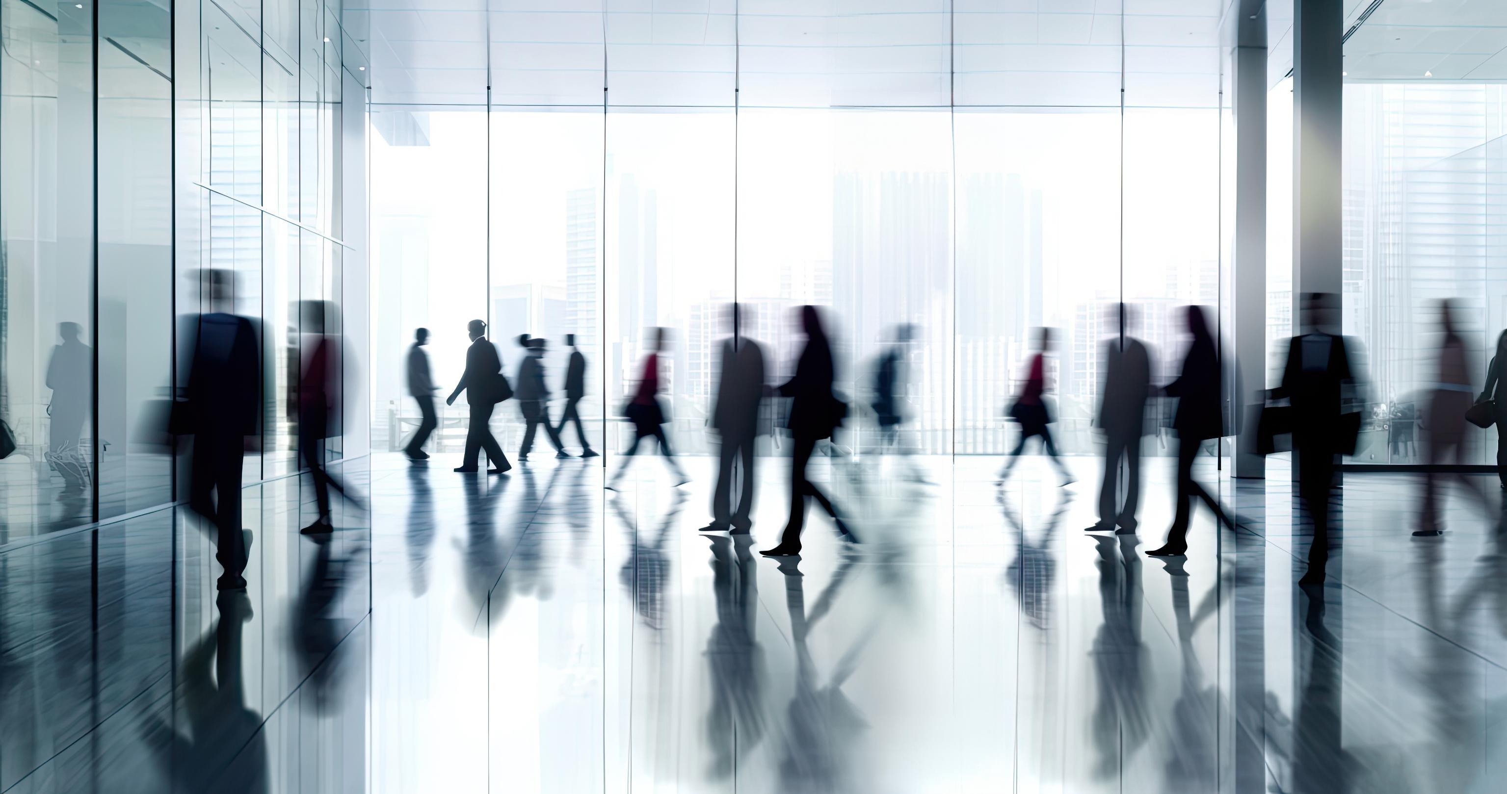 Dynamic Standards International (DSI)