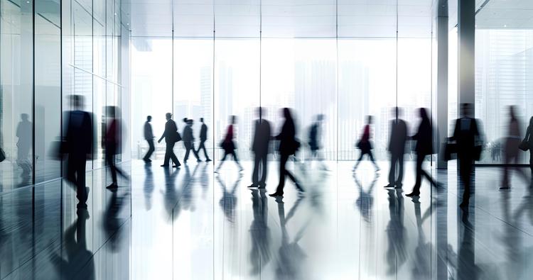 Dynamic Standards International (DSI)