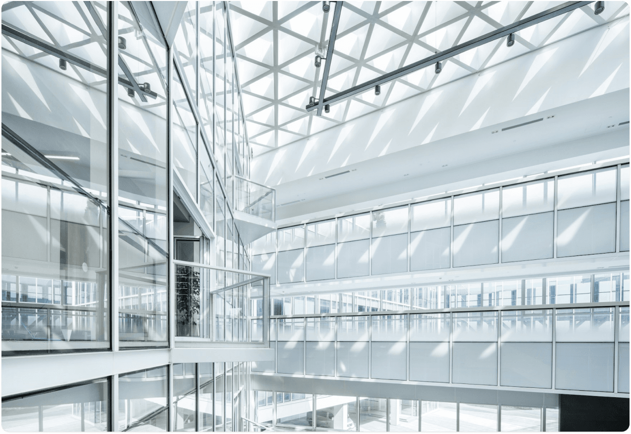 Dynamic Standards International (DSI)