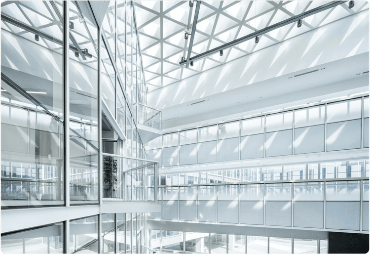 Dynamic Standards International (DSI)