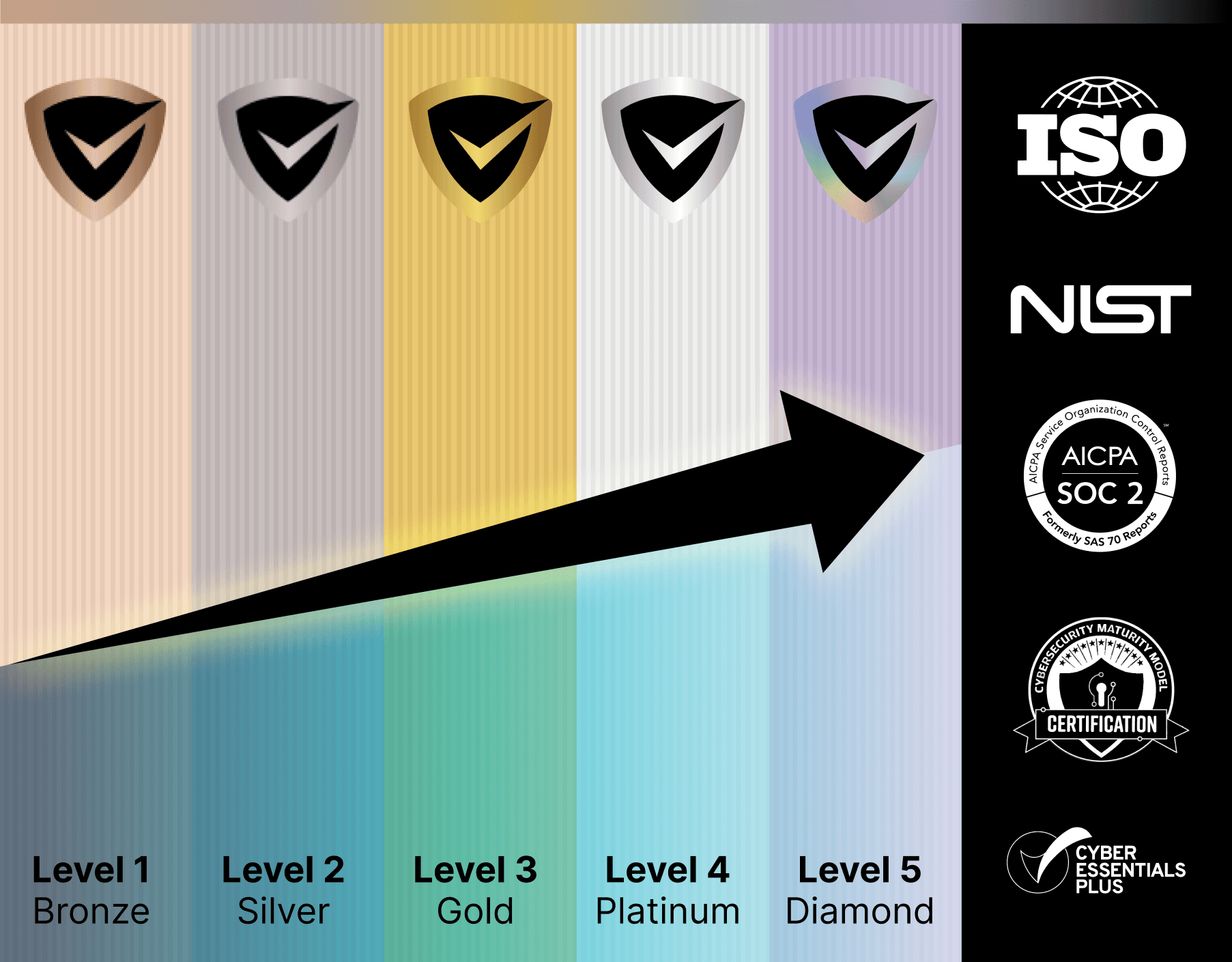 Dynamic Standards International (DSI)