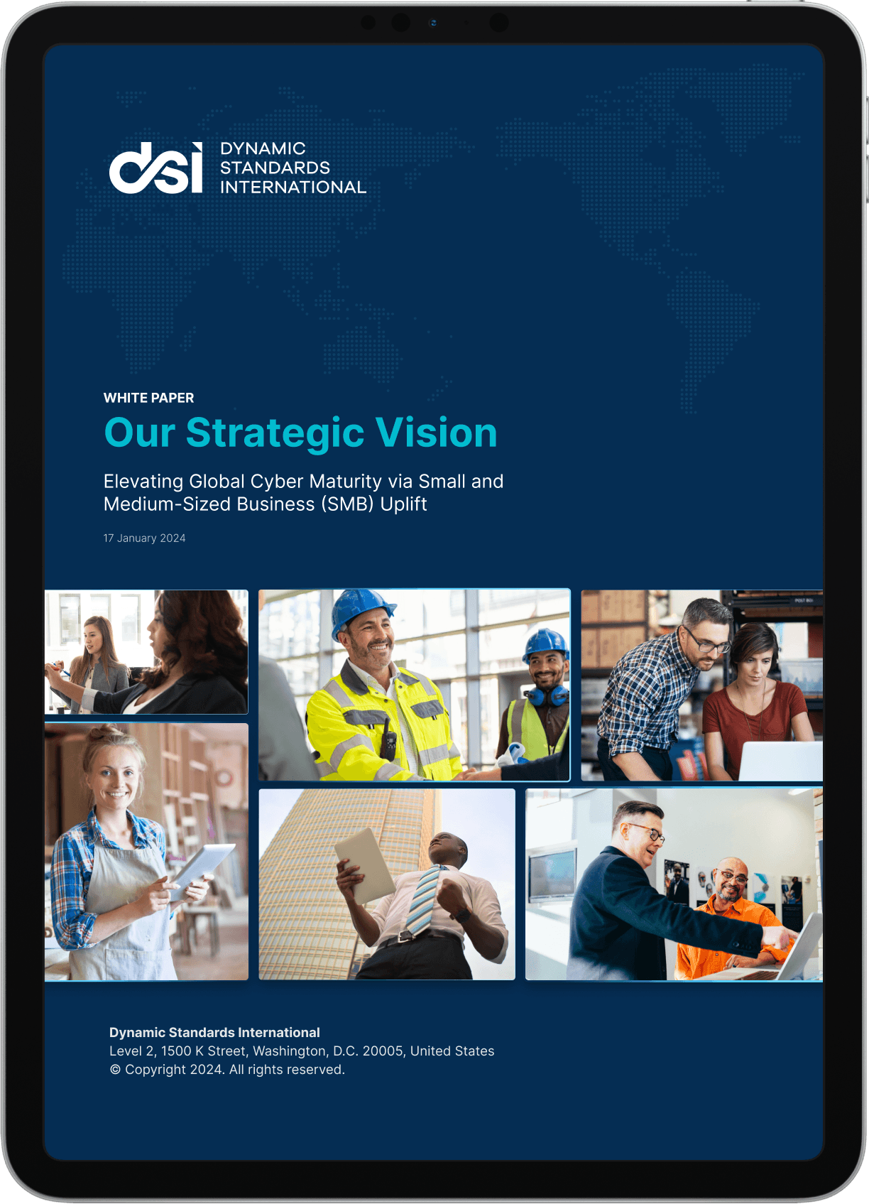 Dynamic Standards International (DSI)