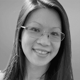 Dynamic Standards International (DSI)